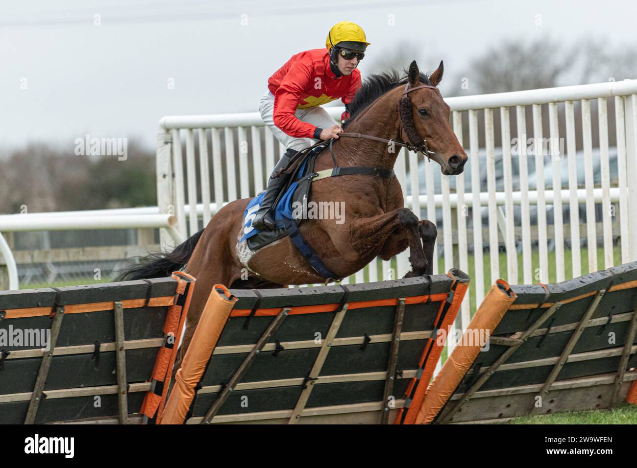 After the fox, ridden by Chester Williams and trained by Mrs Jane ...