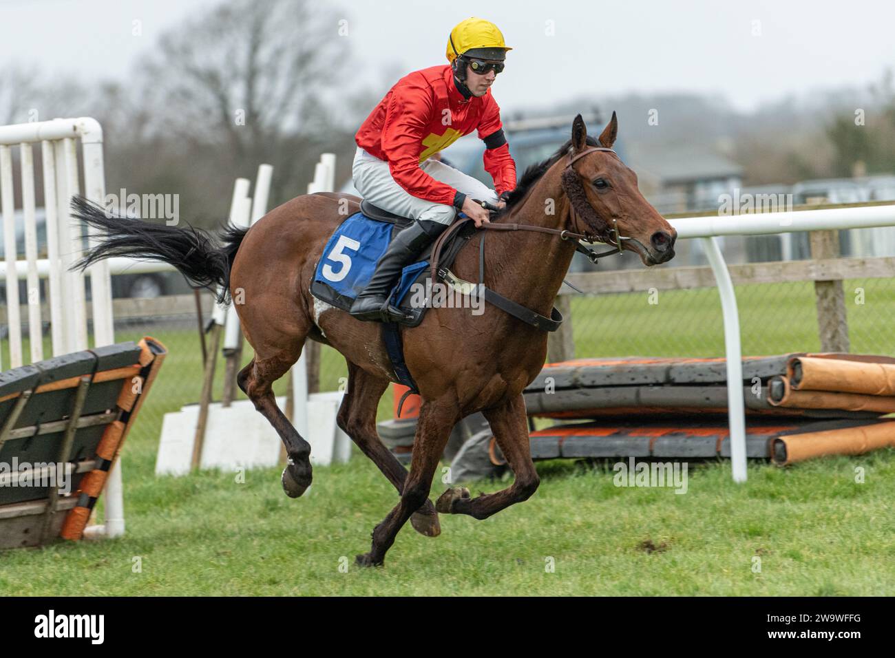 After the fox, ridden by Chester Williams and trained by Mrs Jane ...