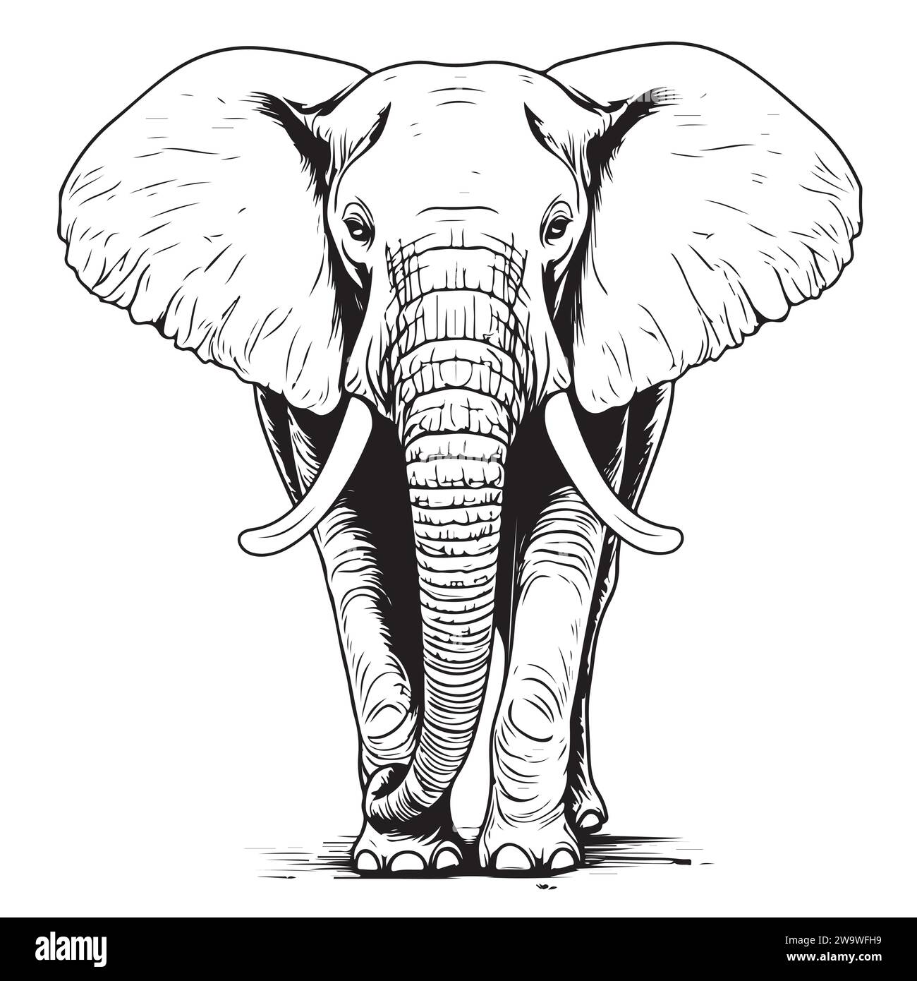 Elephant Outline Drawing Elephant Art Print Kalligrafie Single Line