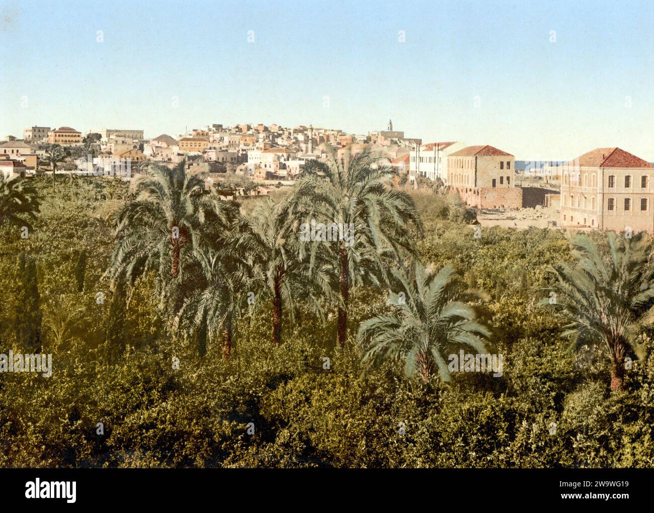 Jaffa, vom Garten aus gesehen, Heiliges Land, Israel, um 1890 ...