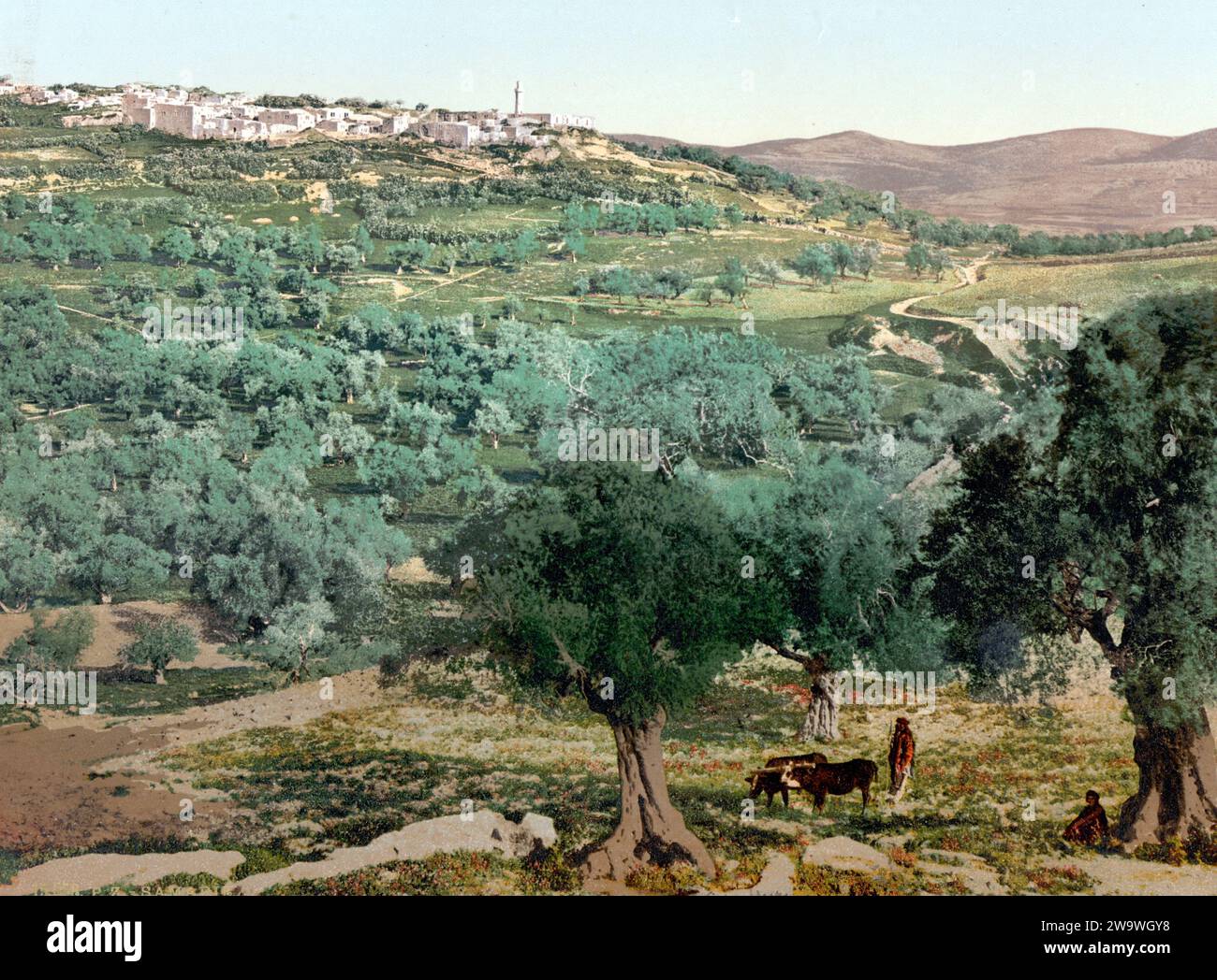 Von samaria hi-res stock photography and images - Alamy