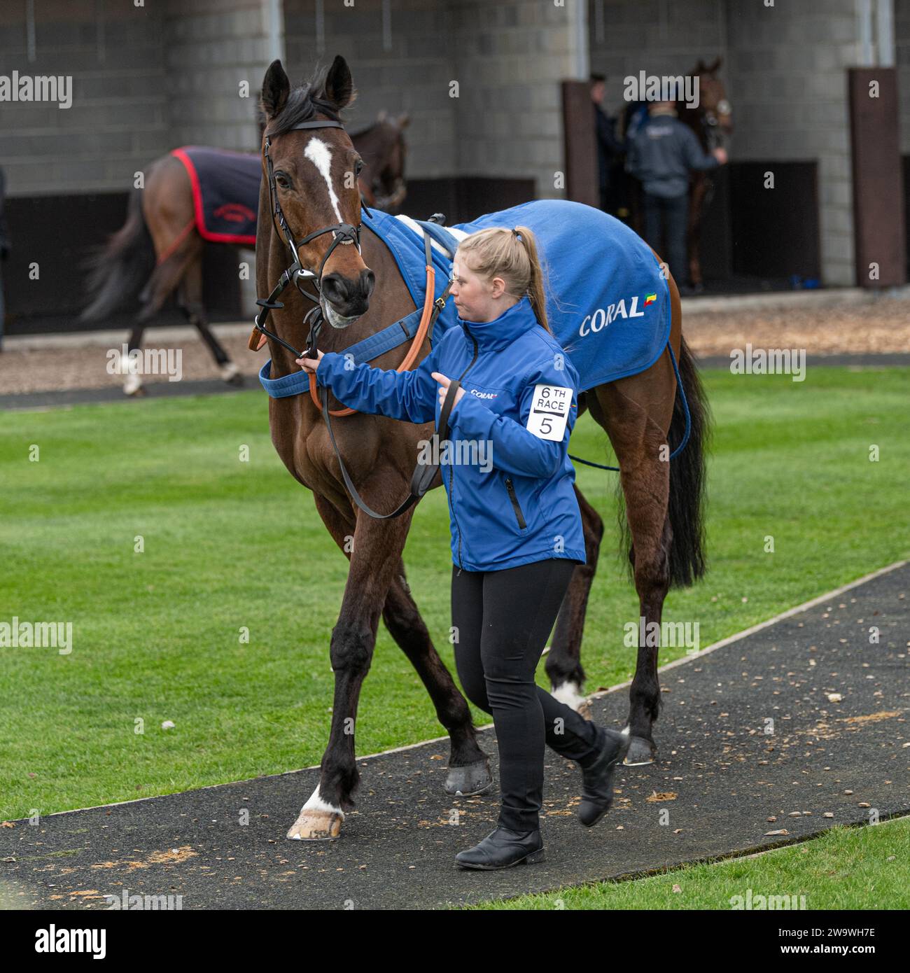 Lanspark, ridden by Brendan Powell and trained by Colin Tizzard ...