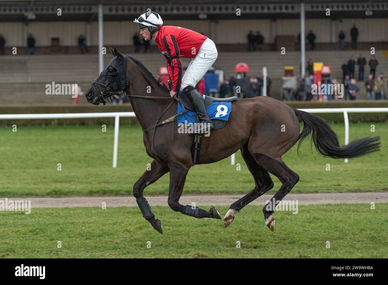 D'Jango, ridden by Philip Armson and trained by David Pipe, runner-up ...