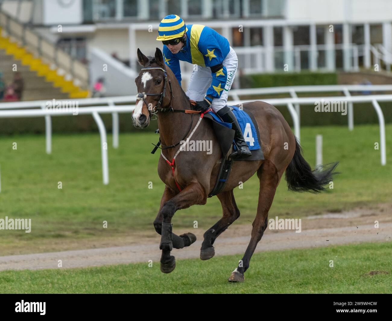 Lightonthewing, ridden by Lucy Gardner and trained by Susan Gardner ...