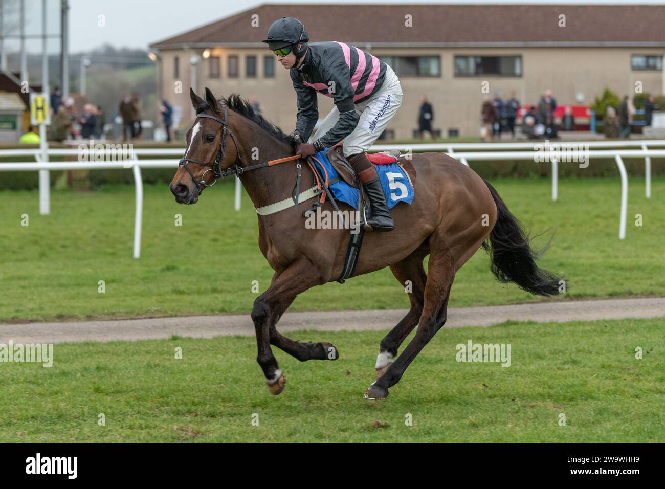 Team tizzard trained lanspark hi-res stock photography and images - Alamy