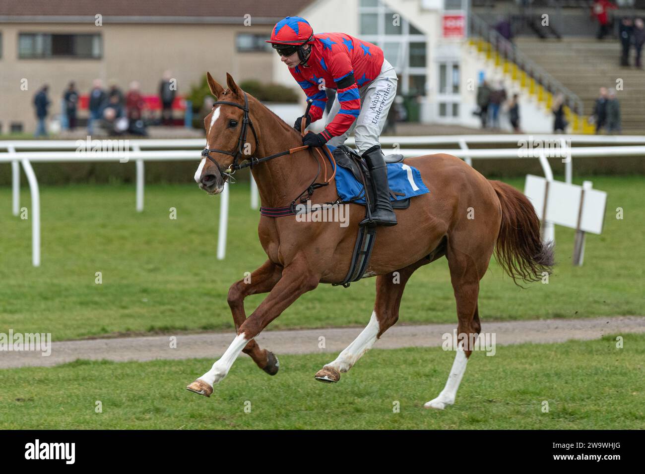 Off the planet racing over hurdles hi-res stock photography and images ...