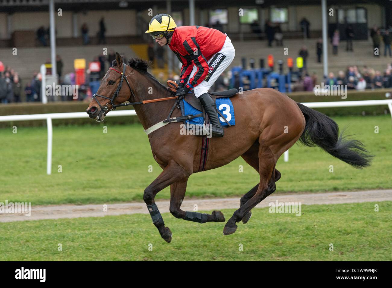 Rideau Canal, ridden by Tom Cannon and trained by Alan King, racing at ...