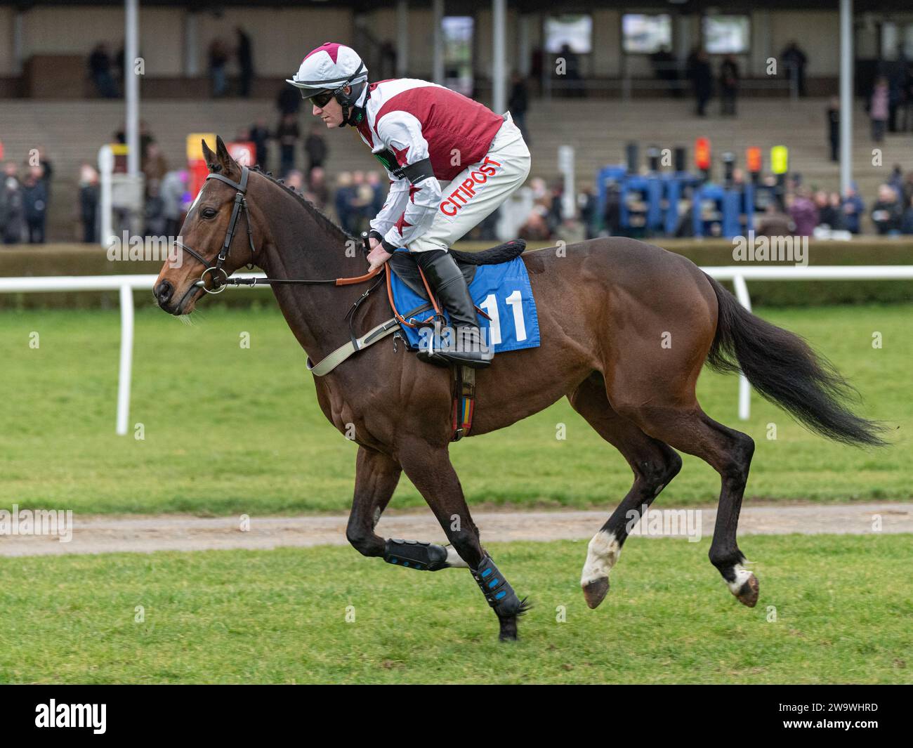 San Pedro, ridden by Nick Scholfield and trained by Paul Henderson ...