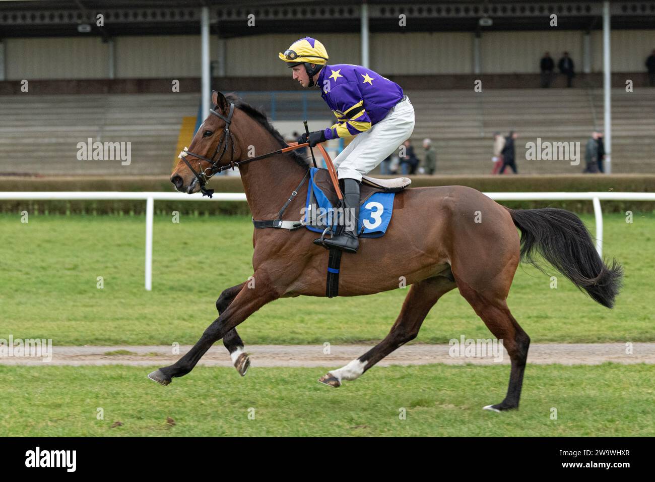 Kayley woollacott trained nickelsonthedime hi-res stock photography and ...