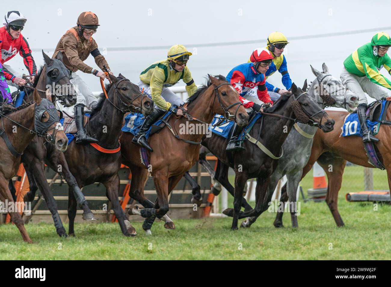 Horses lined up at racing over hurdles at Wincanton, March 10th 2022 ...