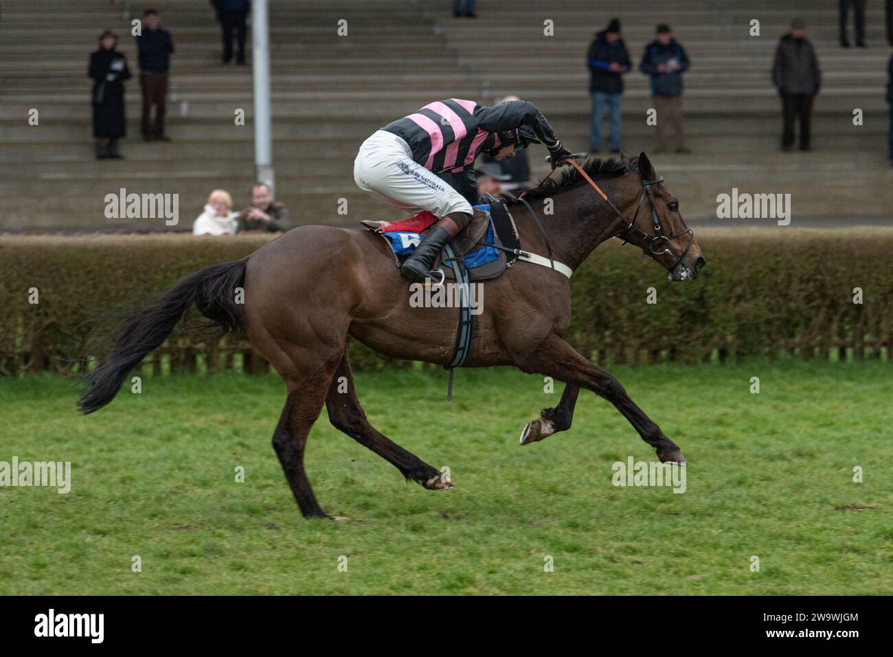 Colin tizzard trained lanspark hi-res stock photography and images - Alamy