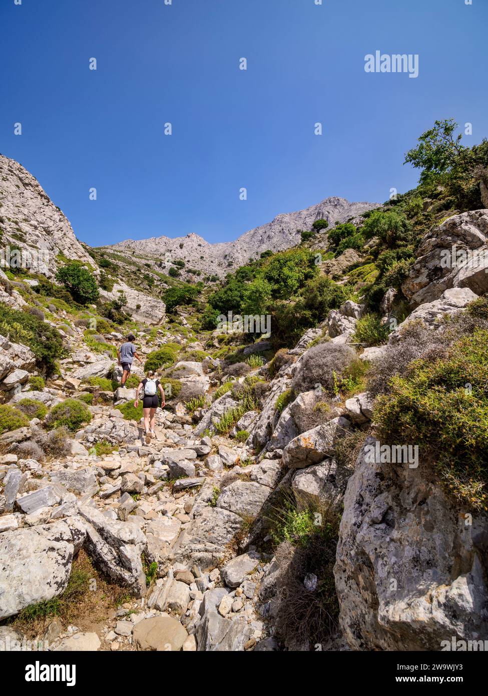 Trail to Mount Zas or Zeus, Naxos Island, Cyclades, Greece Stock Photo ...