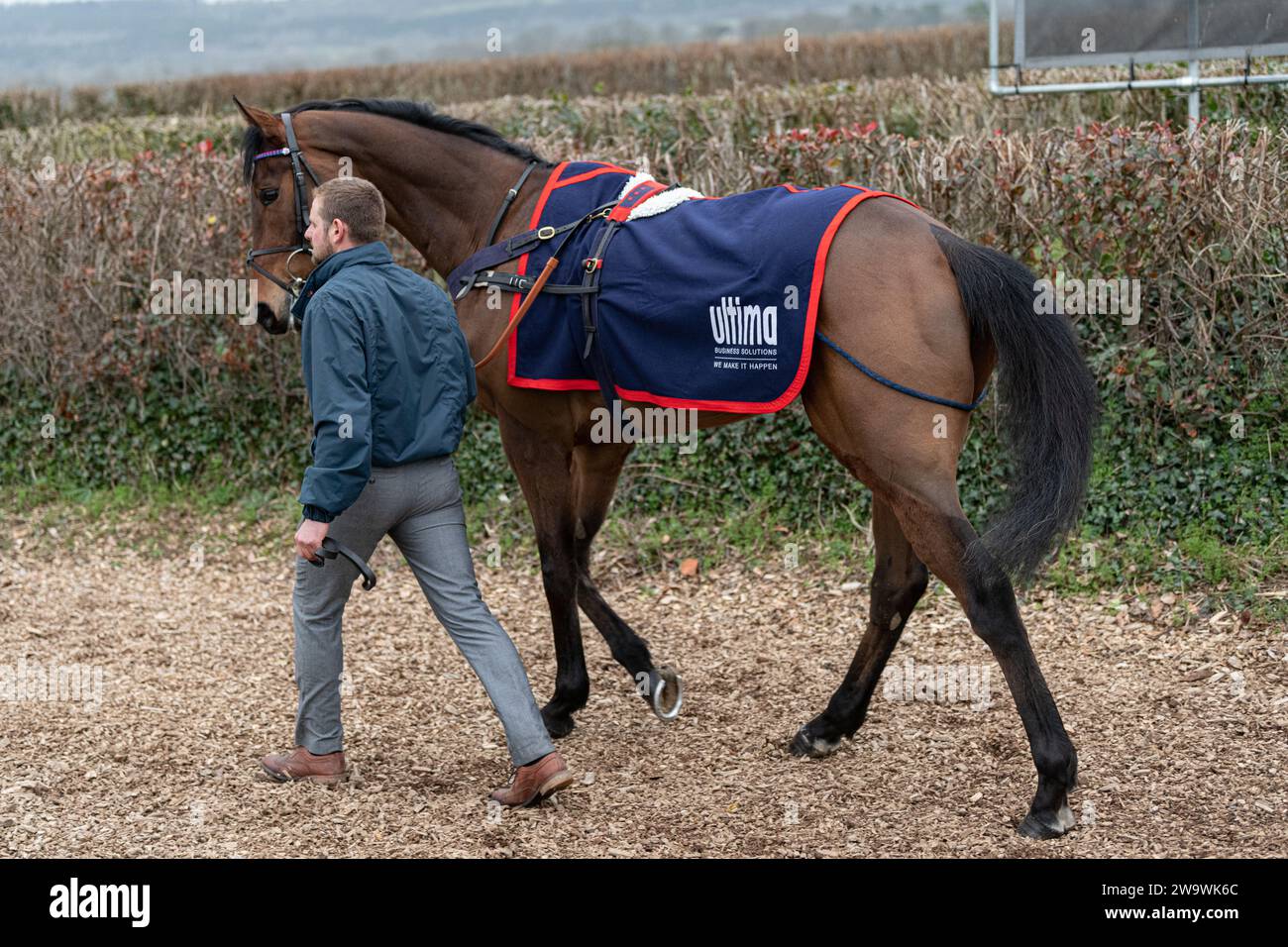 Alan king trained technology hi-res stock photography and images - Alamy