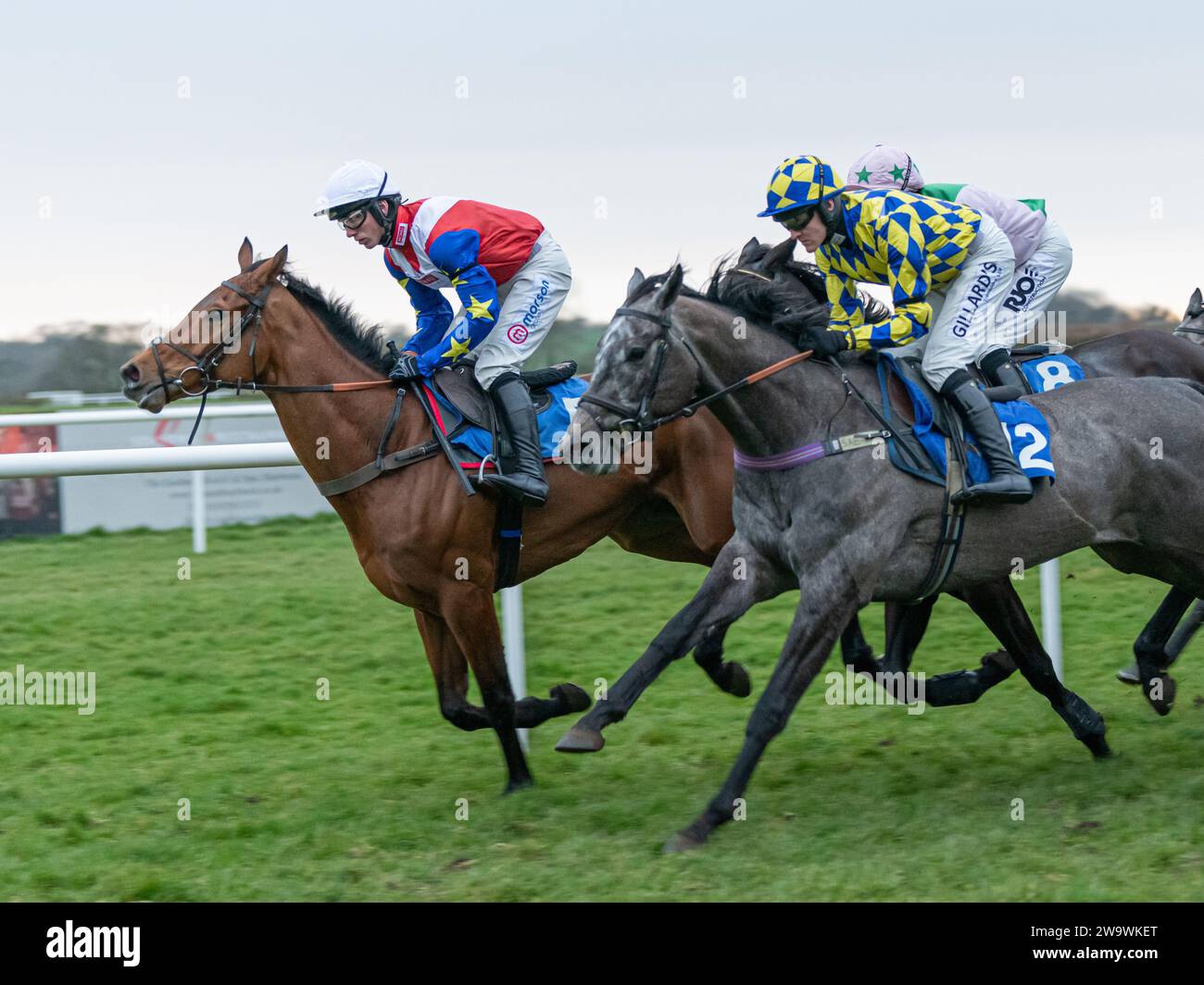 The field racing down the home straight in the Bumper at Wincanton ...