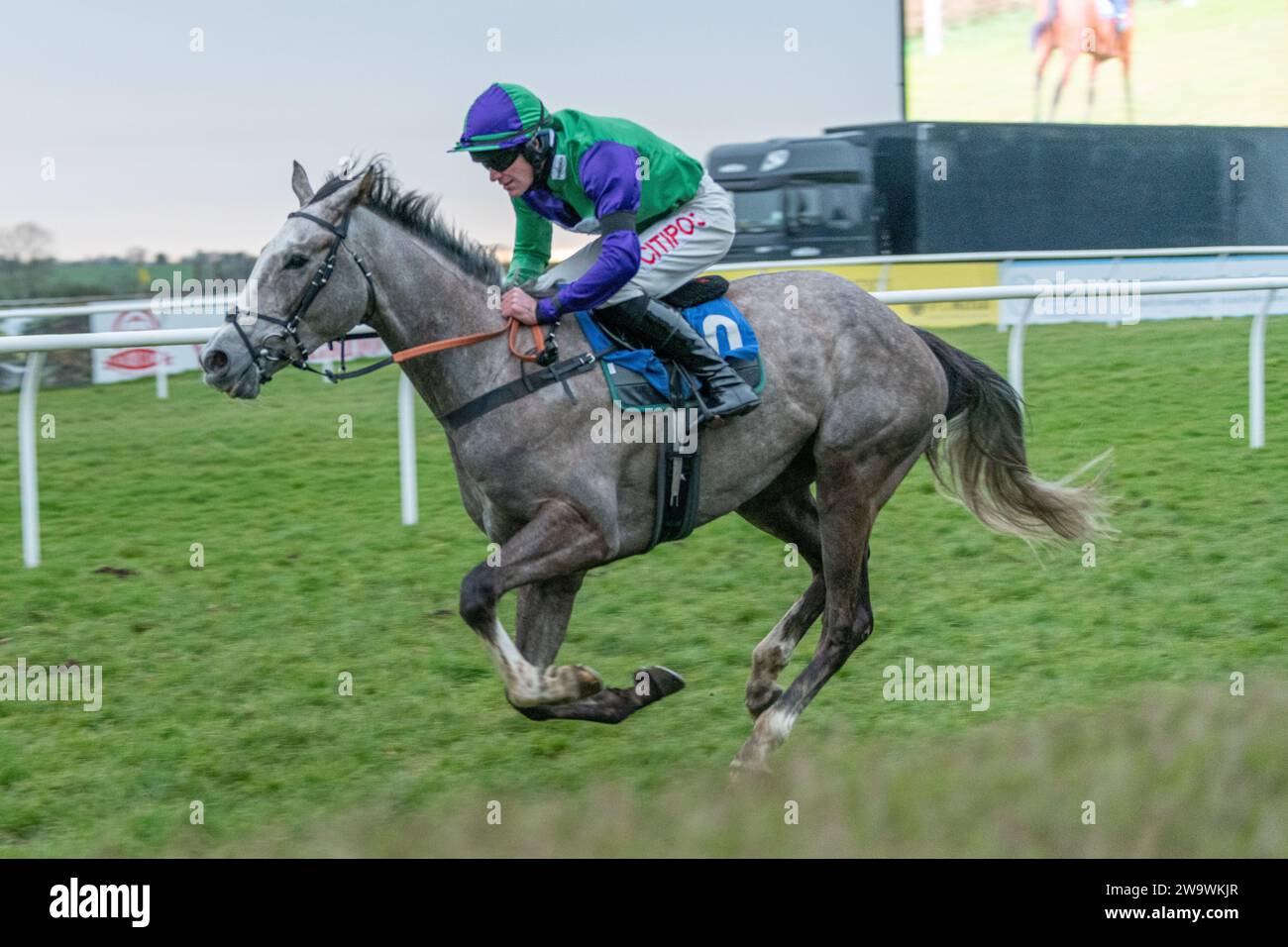 Jitterbug geordie running in the flat race at wincanton hi-res stock ...