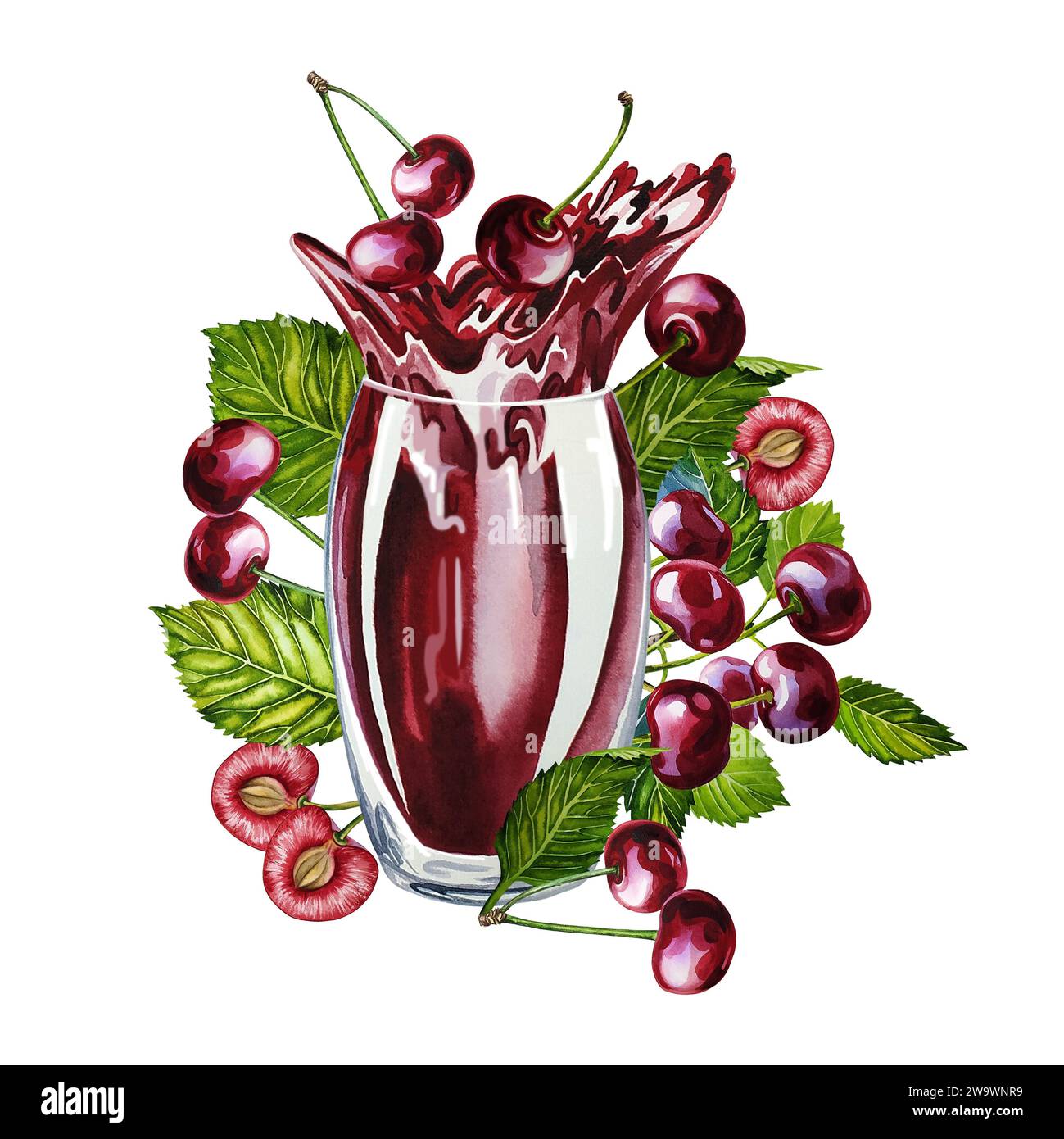 A glass of cherry juice. Ripe and juicy cherries. A hand-drawn ...