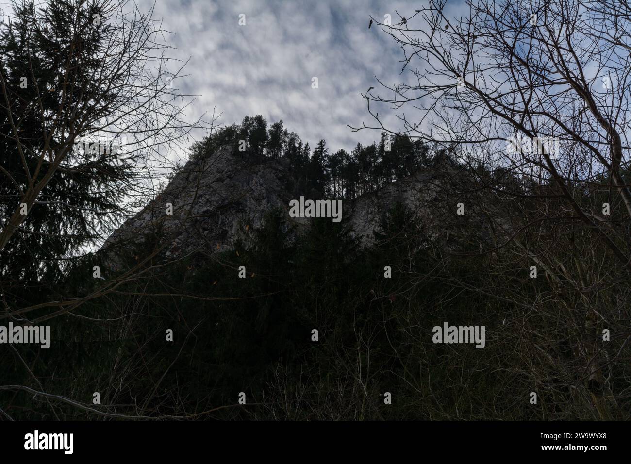 Winter in the Slovak Tatra Mountains full of snow Stock Photo - Alamy