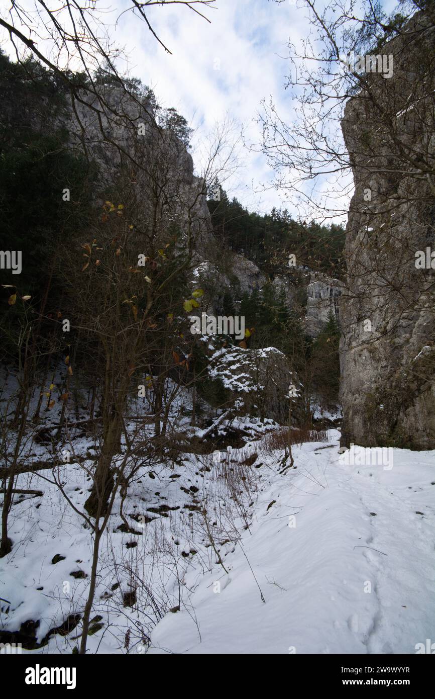 Winter in the Slovak Tatra Mountains full of snow Stock Photo - Alamy