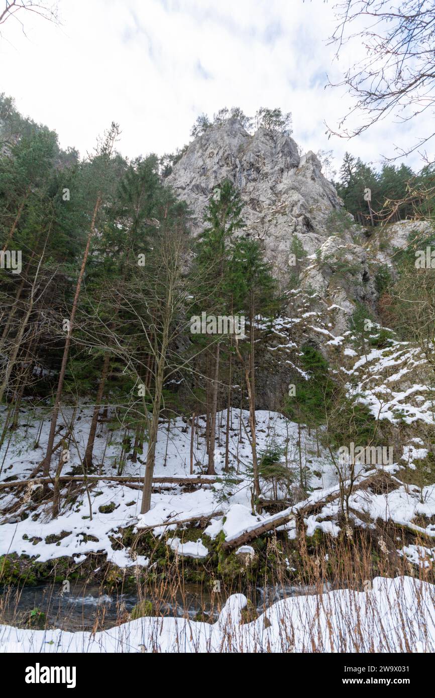 Winter in the Slovak Tatra Mountains full of snow Stock Photo - Alamy