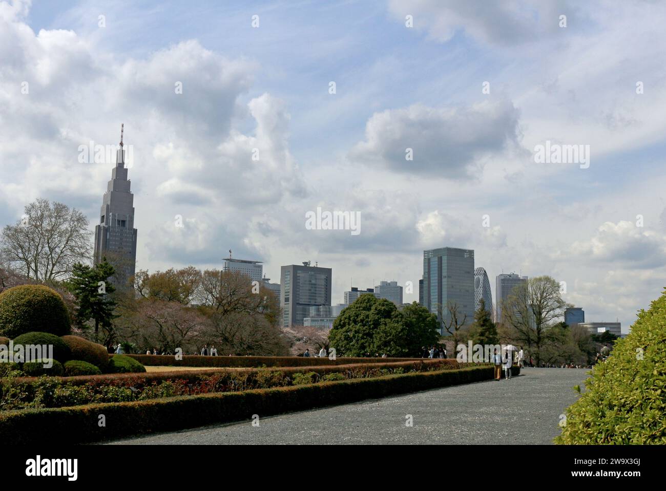 Daily Life in Japan People enjoying cherry blossom viewing in a spring ...