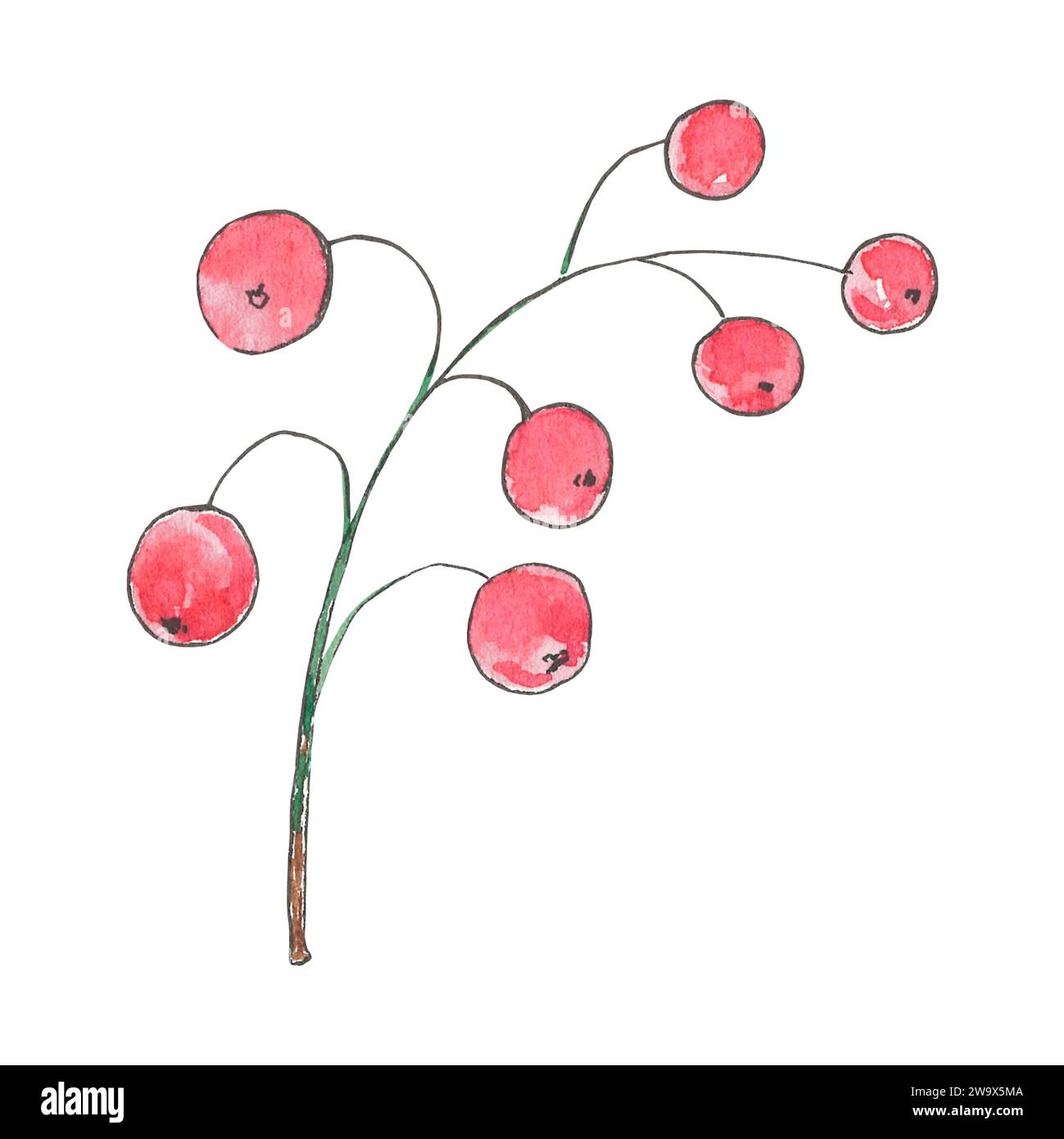 Watercolor hand painted red circle berry and green leaves. Botanical ...