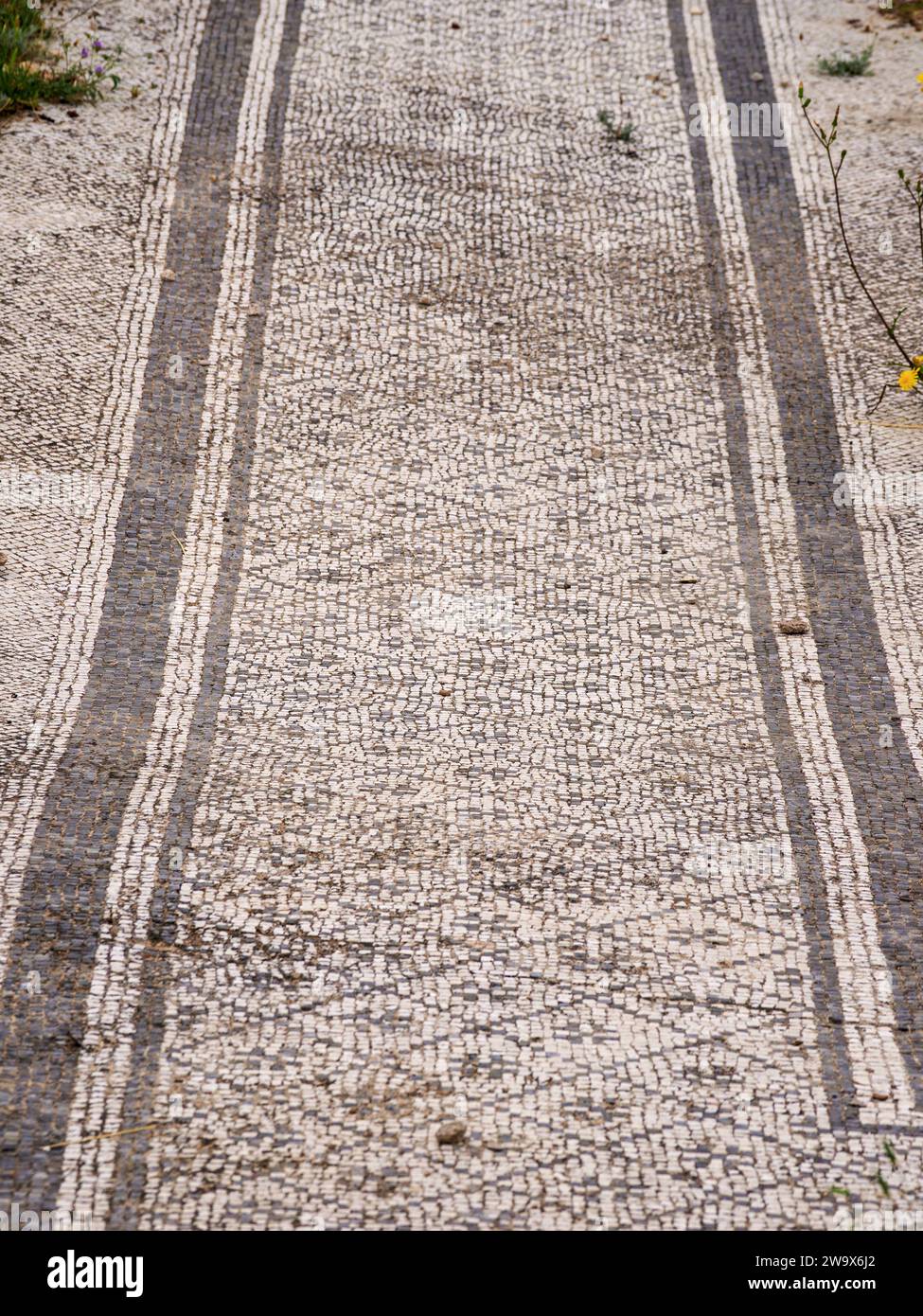 Mosaic Floor at the Ruins of Ancient City, Archaeological Museum ...