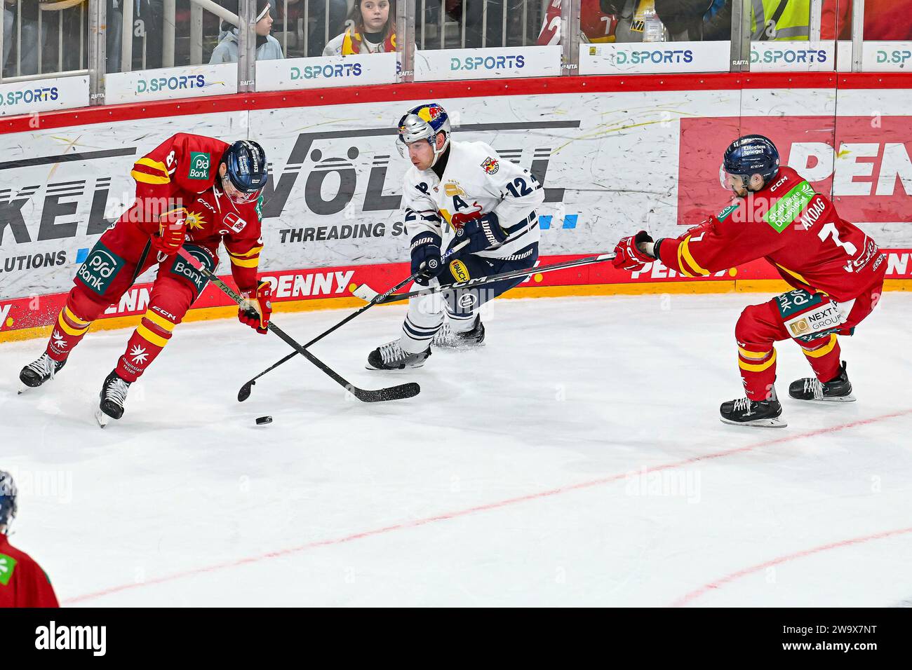 Eishockey DEL - Düsseldorfer EG vs EHC Red Bull München am 30.12.2023 ...