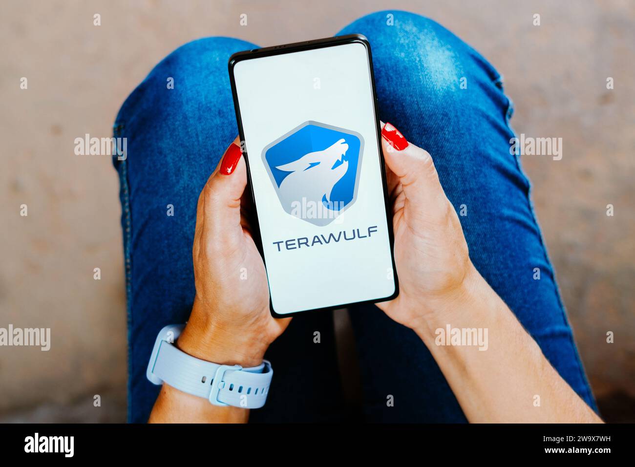 In this photo illustration, the TeraWulf Inc. logo is displayed on a ...