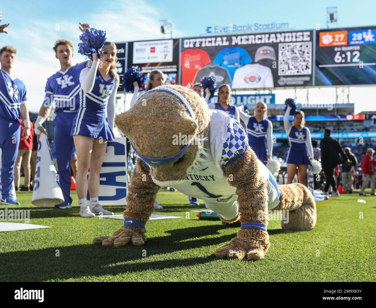Kentucky wildcats mascot hi-res stock photography and images - Alamy