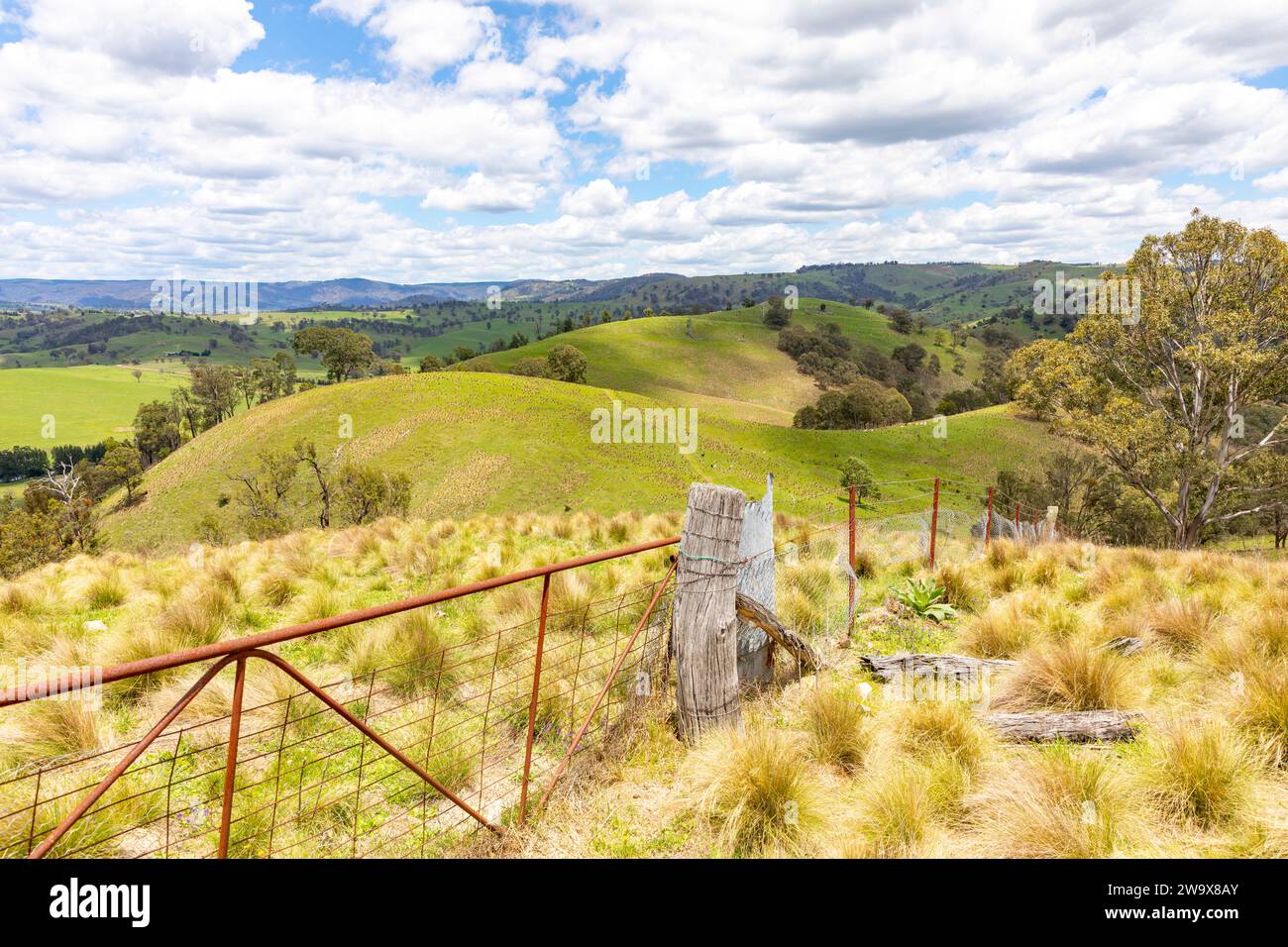 Australian landscape countryside in central west New South Wales ...