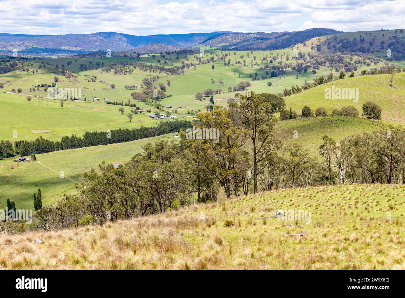Australian landscape countryside in central west New South Wales ...