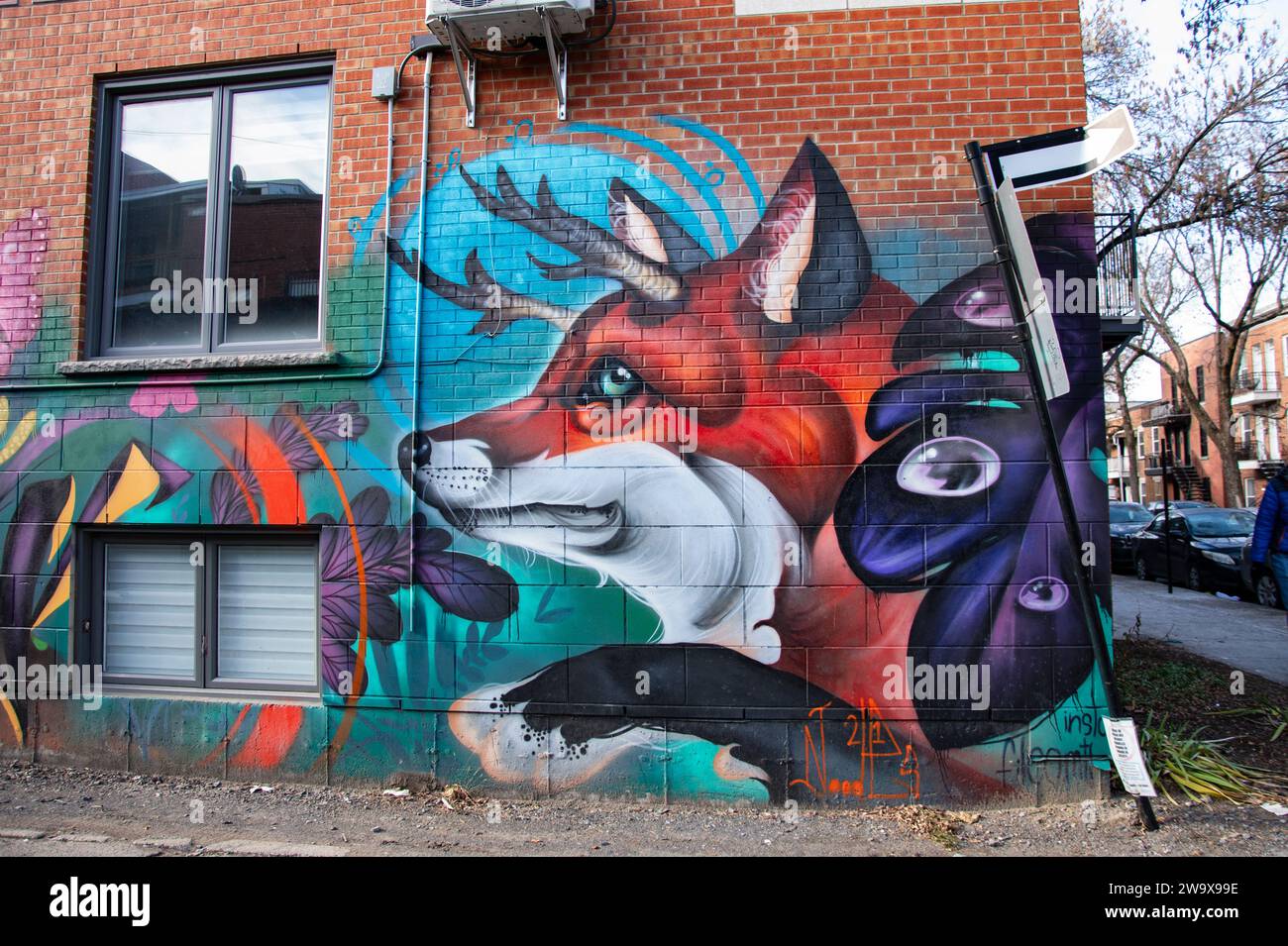 Red deer fox mural in Hochelaga neighborhood in Montreal, Quebec ...