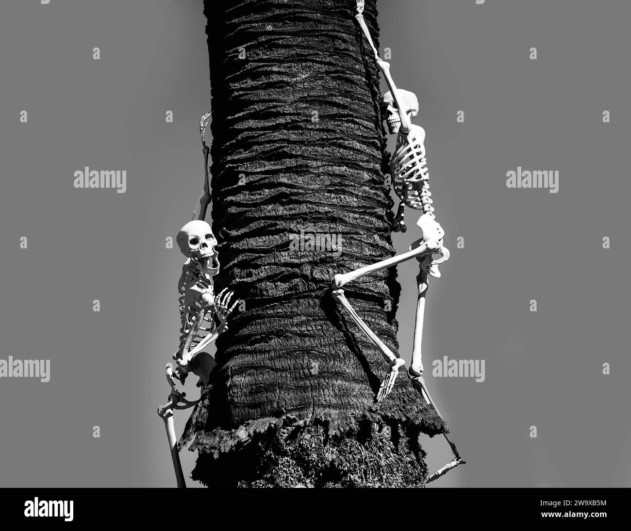 Helloween party Black and White Stock Photos & Images - Alamy