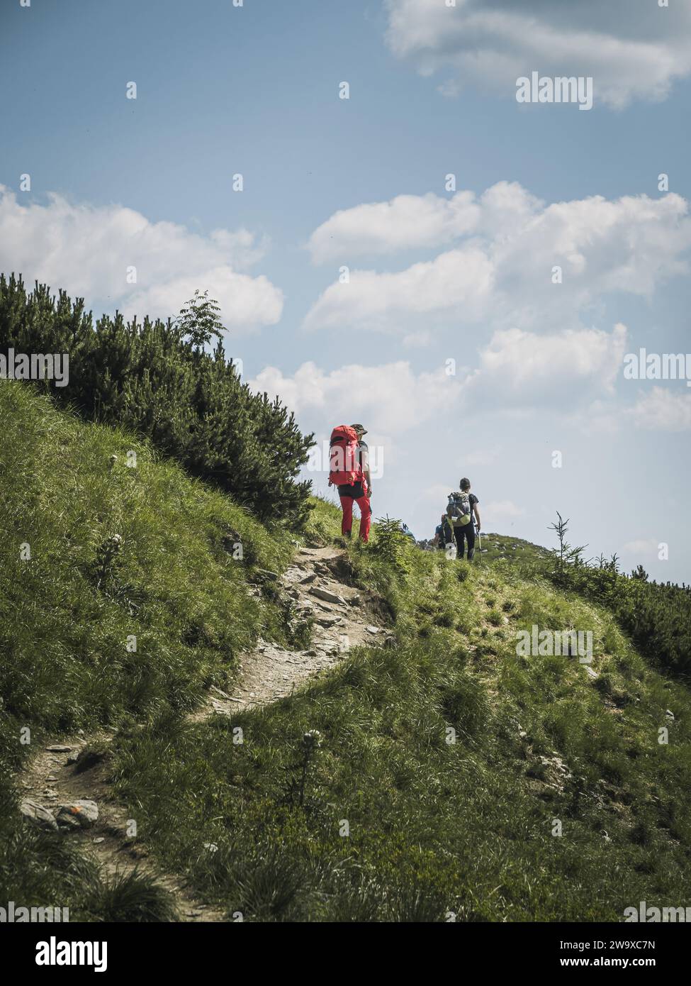 Group of adult backpacker hiker persons walking through a mountain ...