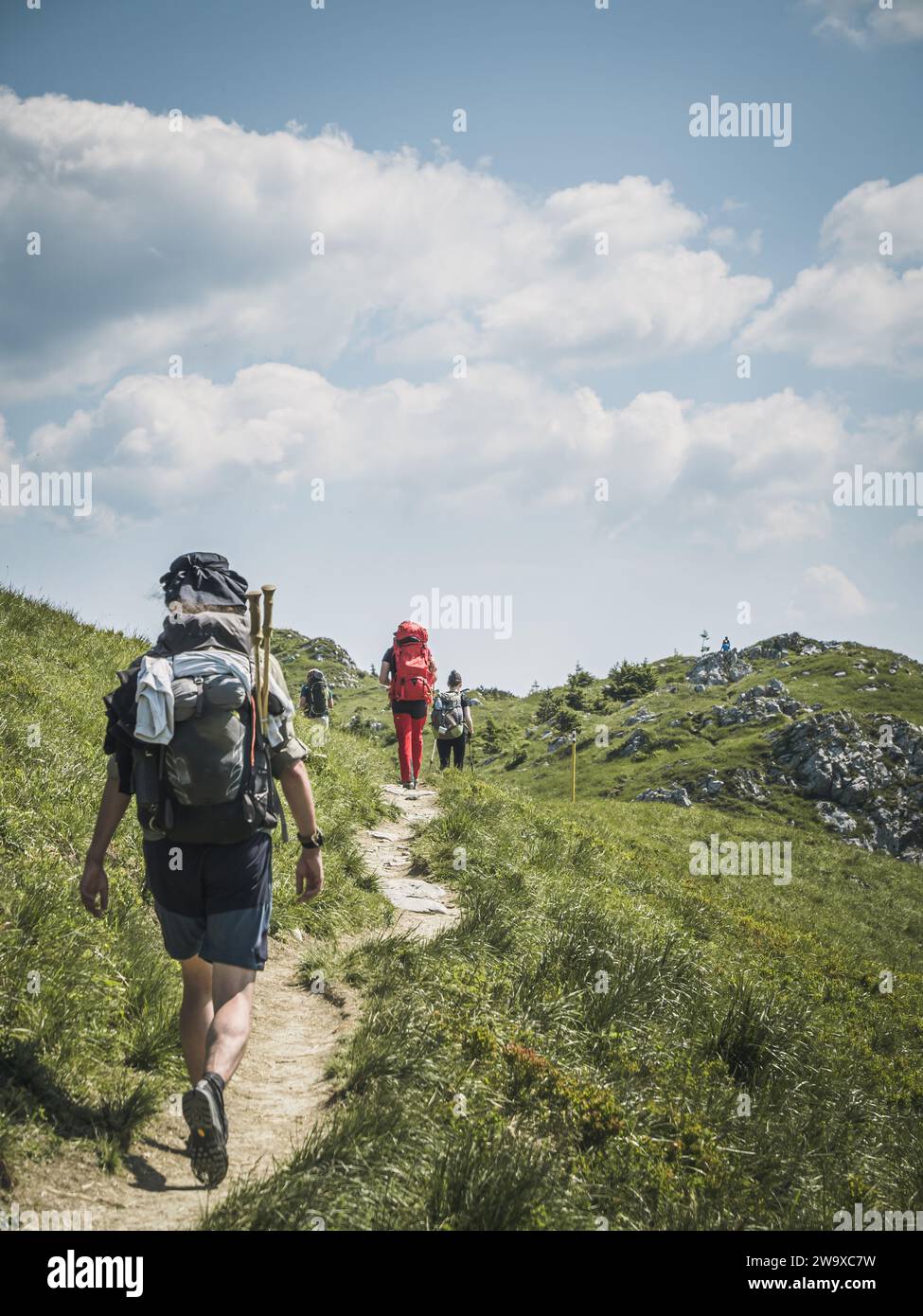 Group of adult backpacker hiker persons walking through a mountain ...
