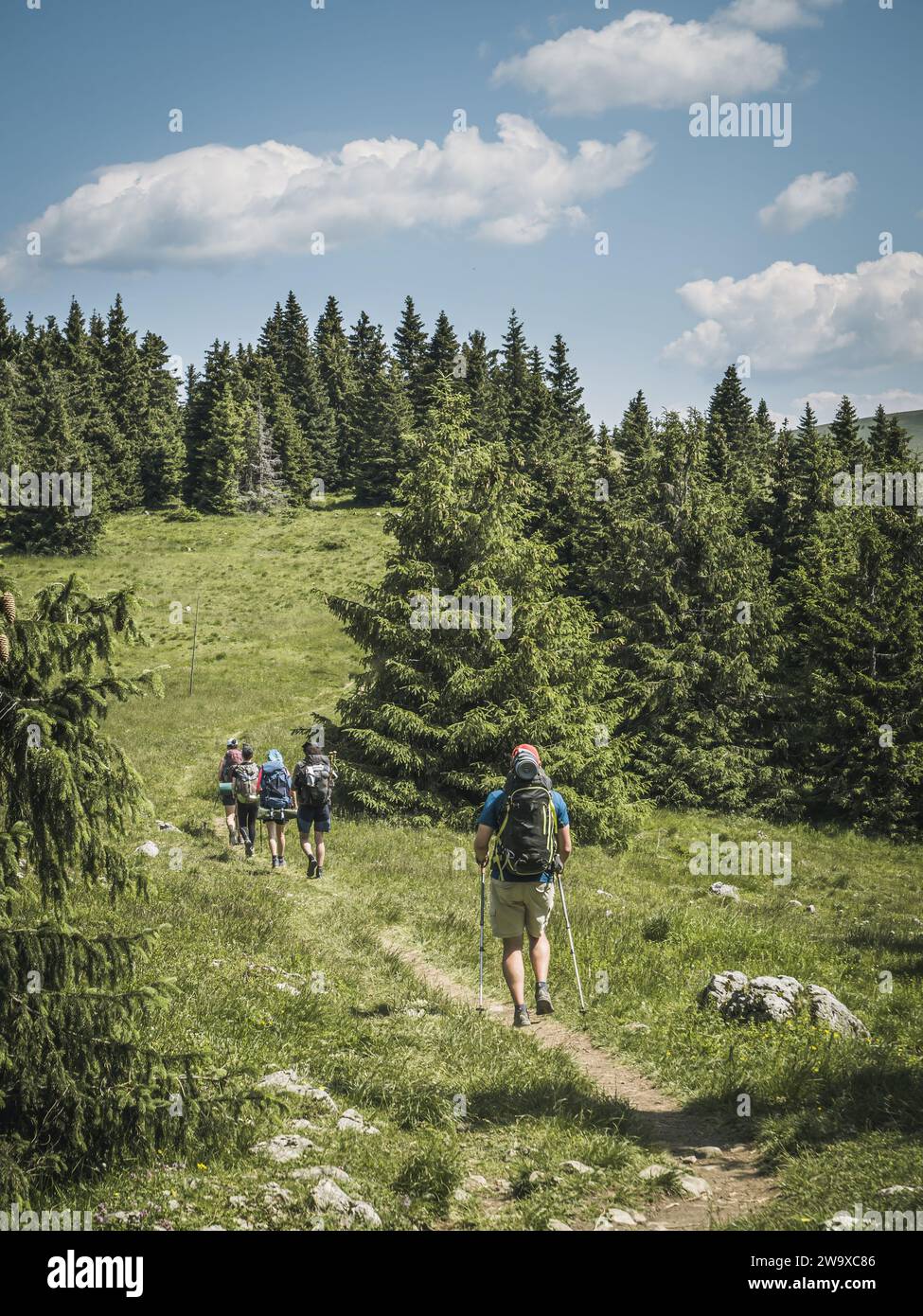 Group of adult backpacker hiker persons walking through a mountain ...