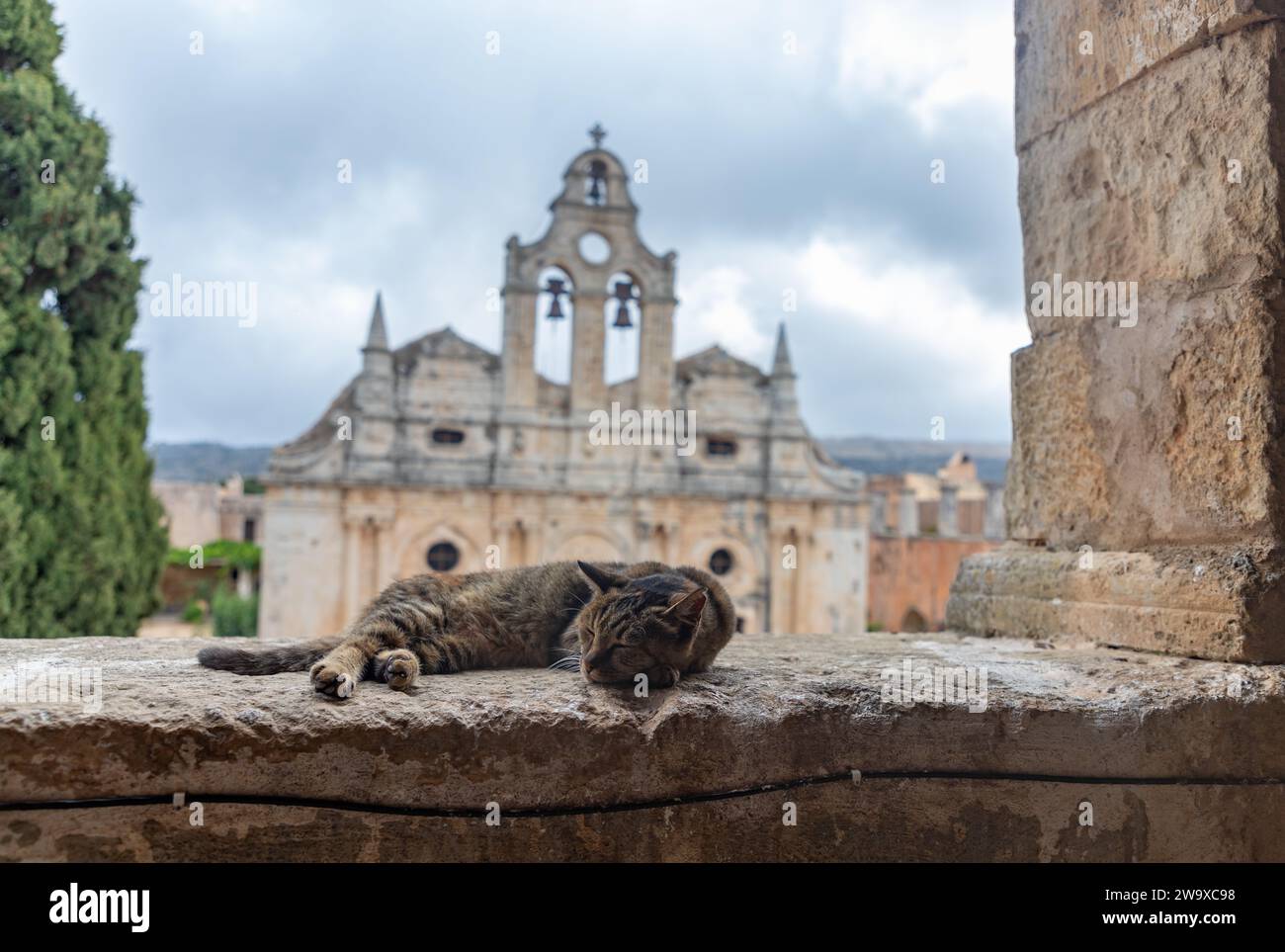 A picture of a cat sleeping in front of the Arkadi Monastery Stock ...