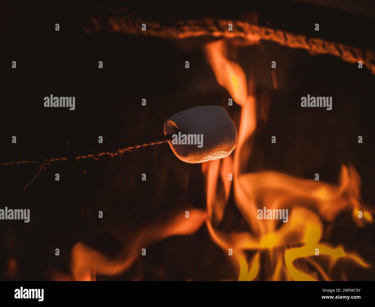 Closeup view of camembert cheese being grilled during an outdoor ...