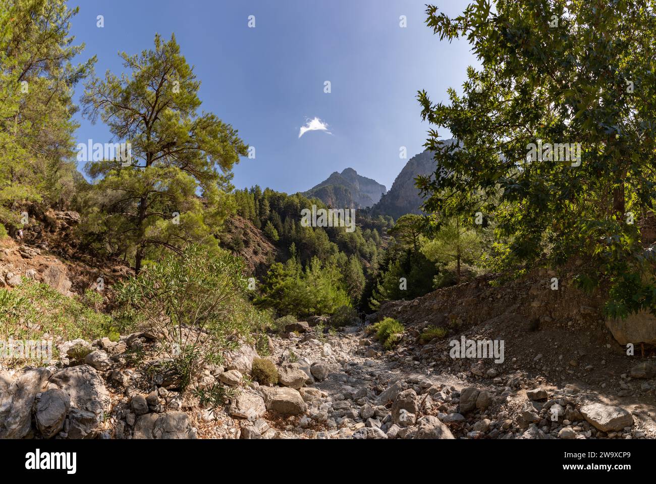 A picture of the classic Samaria Gorge landscape, with rocks on the ...