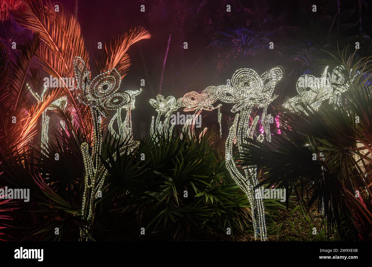 Miami, Florida - December 29, 2023: Fairchild Tropical Botanical Garden ...