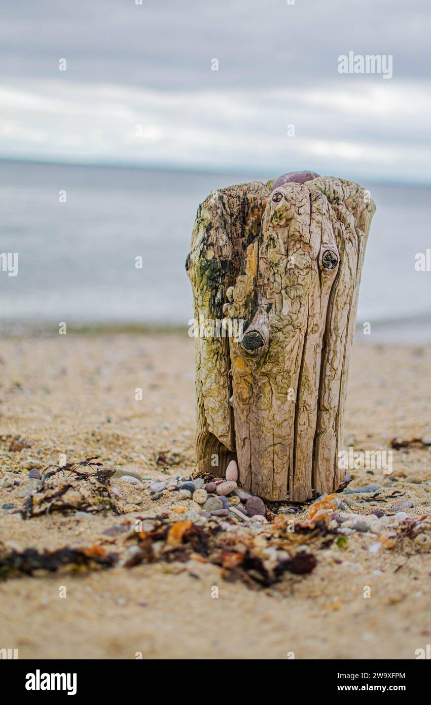 Stake in the beach Stock Photo - Alamy