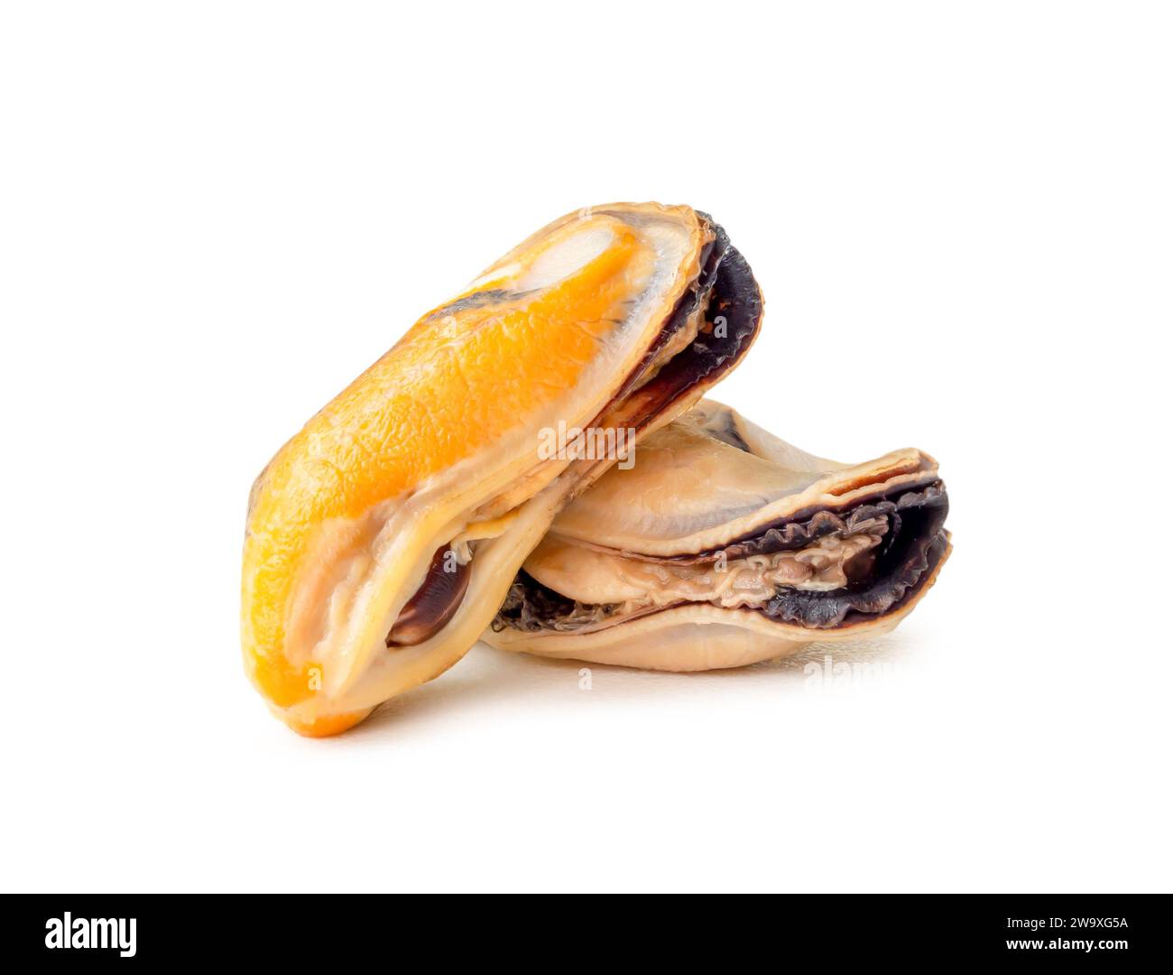 Steamed or cooked food of fresh beautiful green mussels meat in stack ...