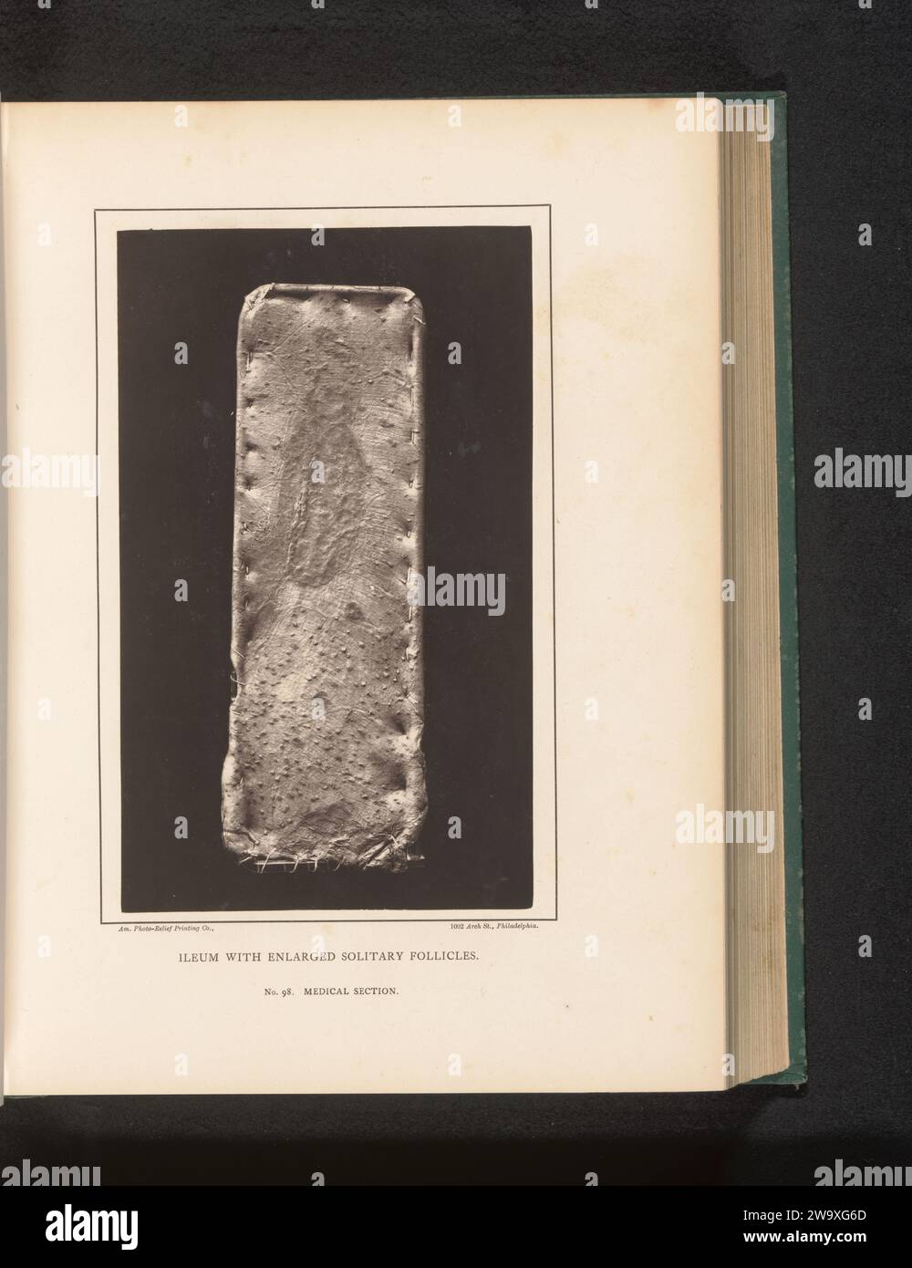 Stretched piece of winding arm with enlarged cavities, E.J. Ward, c ...