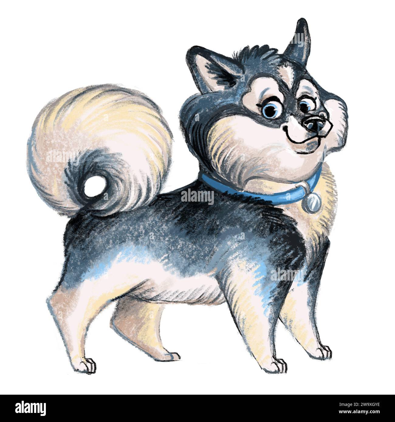 Cute funny cartoon dog pet character. Alaskan Klee Kai breed doggy ...