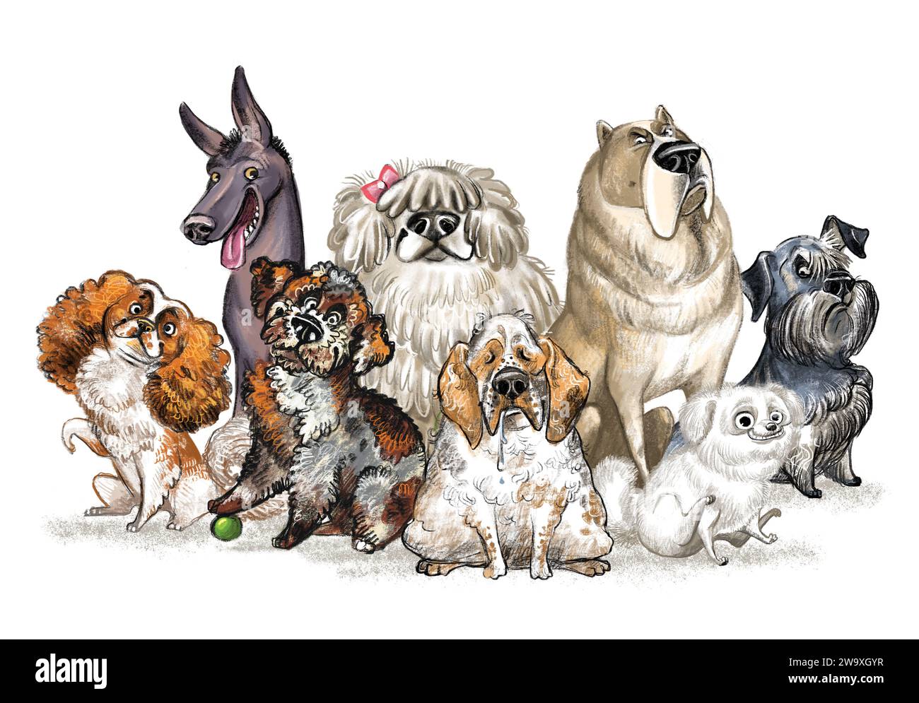 Cute funny cartoon sitting dogs pet characters. Different breeds doggy ...