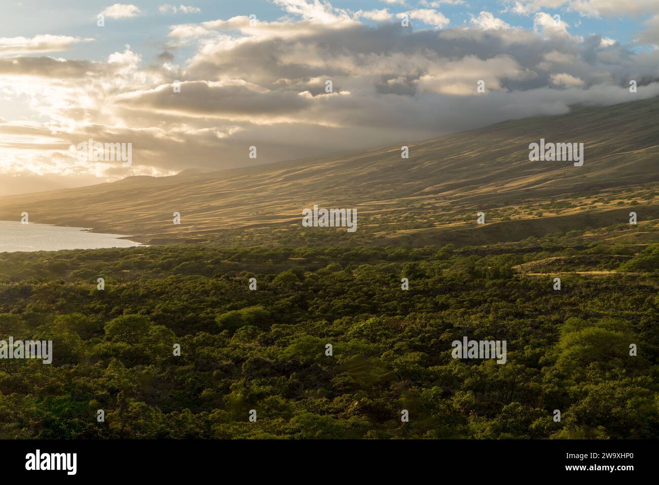 The last rays of a Maui sunset bathe the landscape in golden light ...