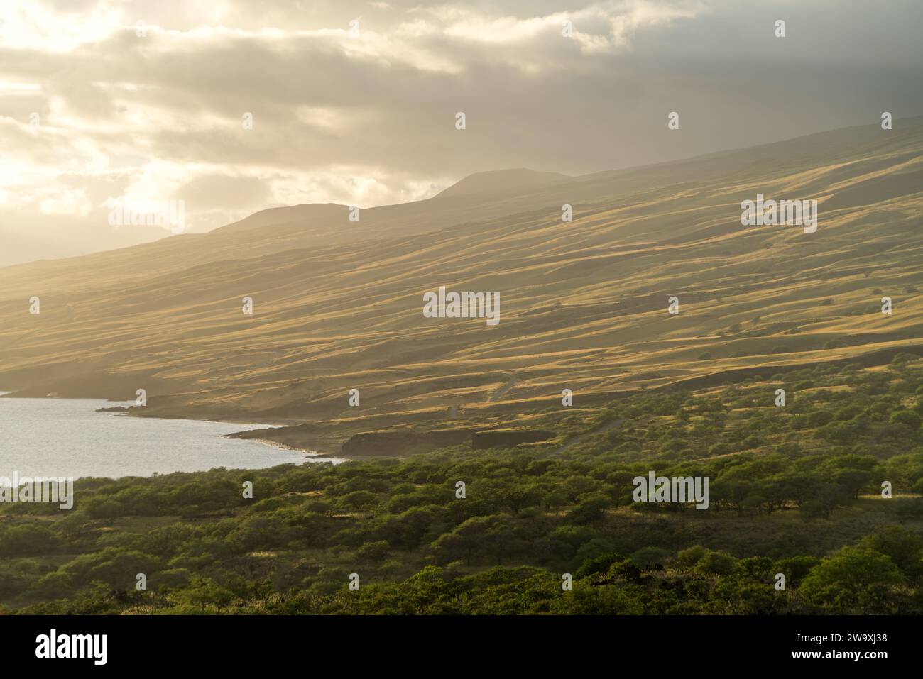 The last rays of a Maui sunset bathe the landscape in golden light ...