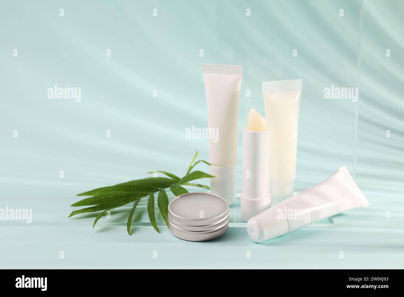 Different lip balms and palm leaf on light blue background Stock Photo ...