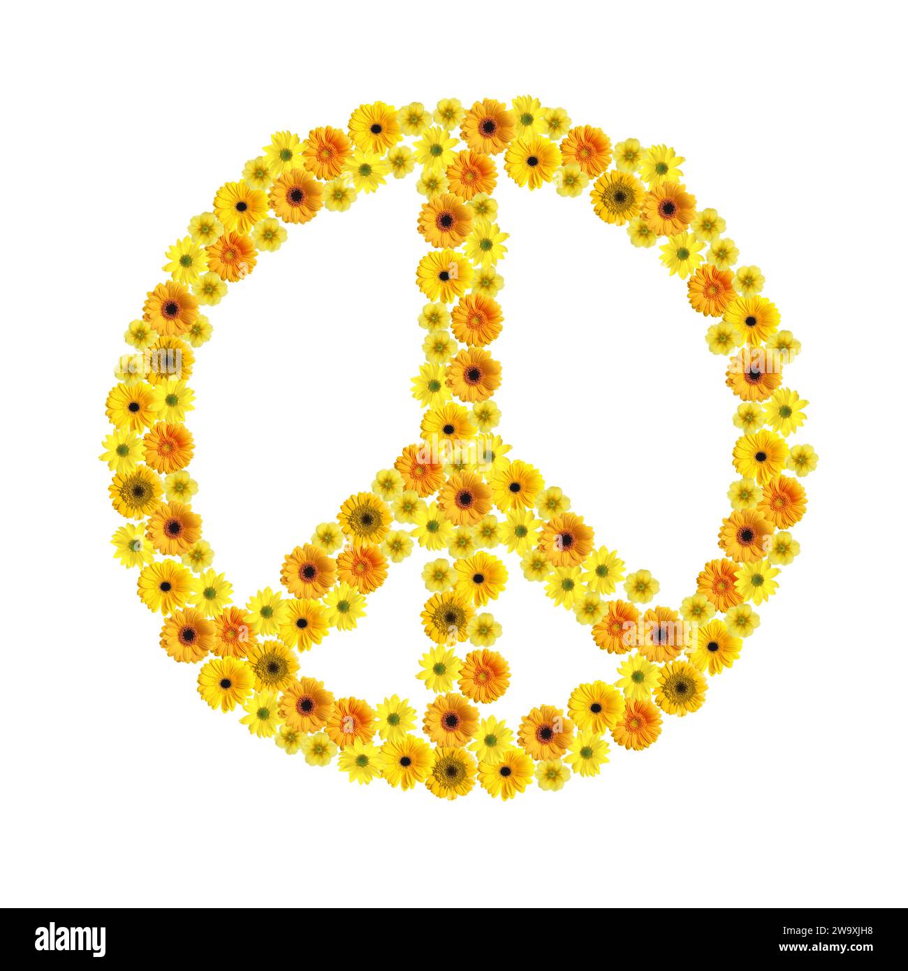 Hippie peace symbol of beautiful flowers on white background Stock ...
