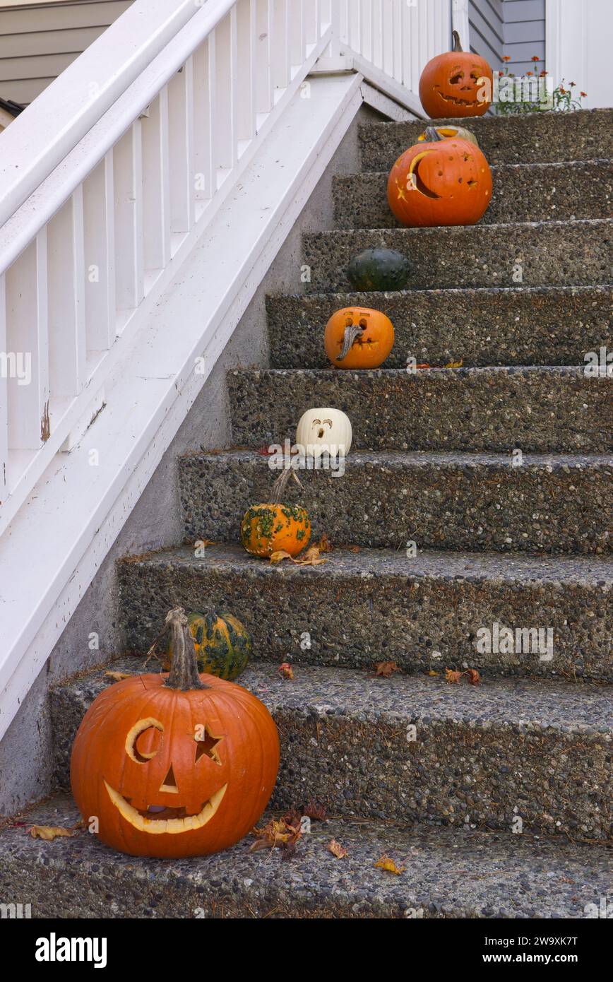 Carved Halloween pumpkins lined up vertically on the stone front steps ...